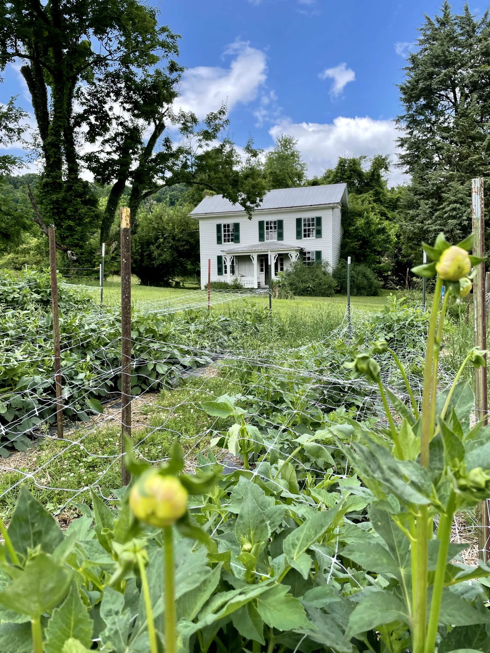 Farm Tour, Wed., June 16, 6-8 PM $30/person | Aunt Willie's Wild Flowers