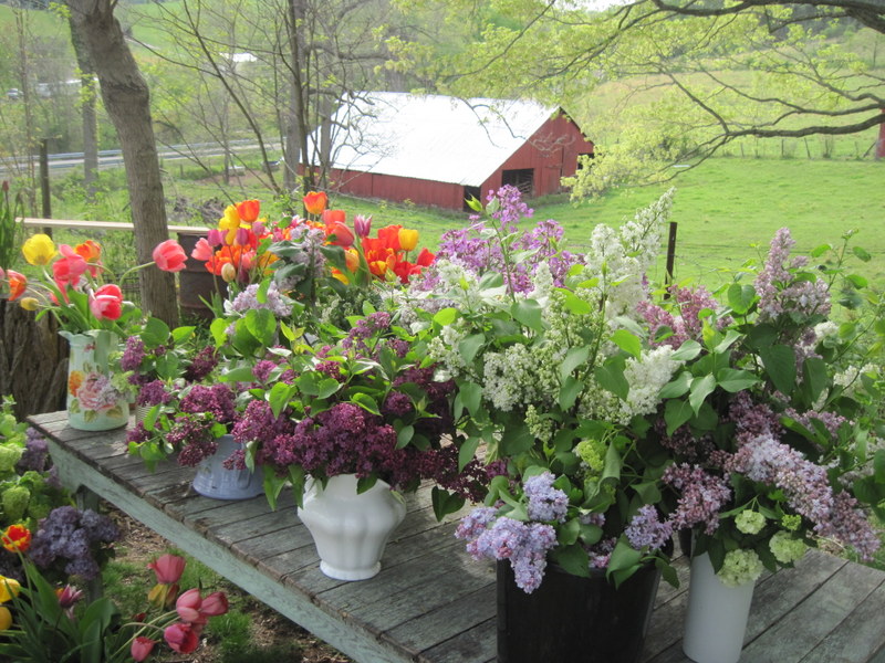 lilac-table | Aunt Willie's Wild Flowers